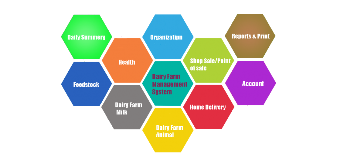 news - Nizi Solutions